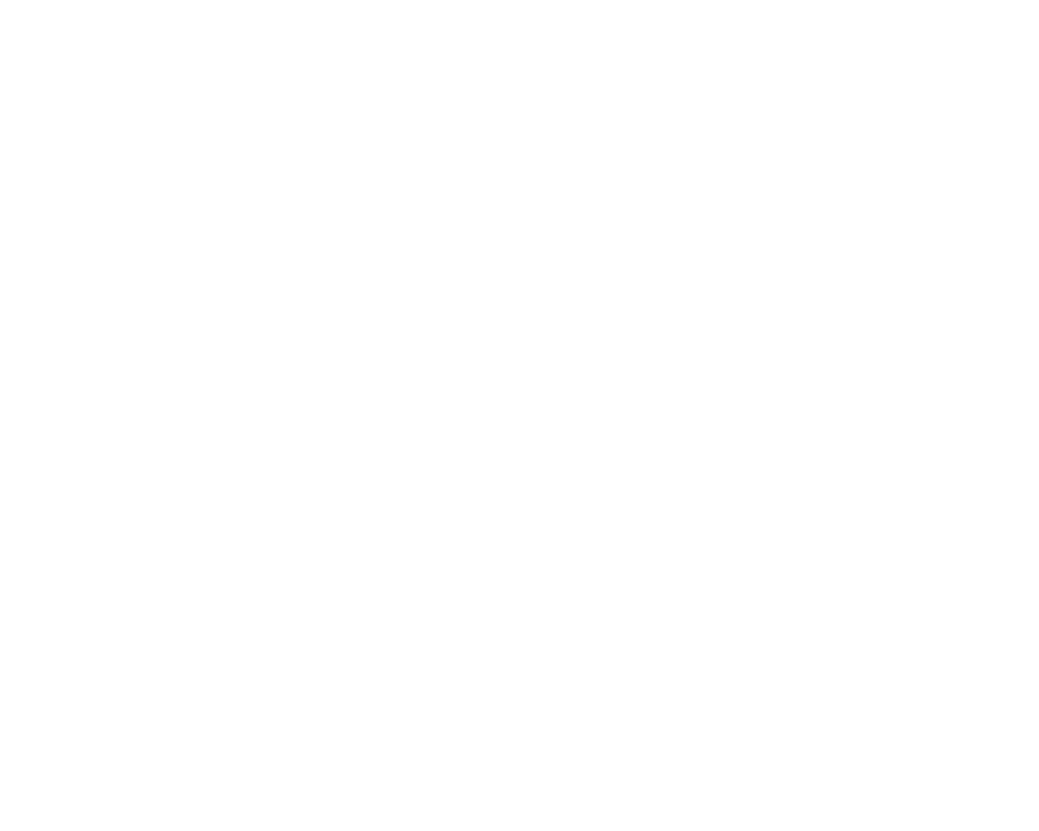 Our Company – Fishstone Solutions Inc.